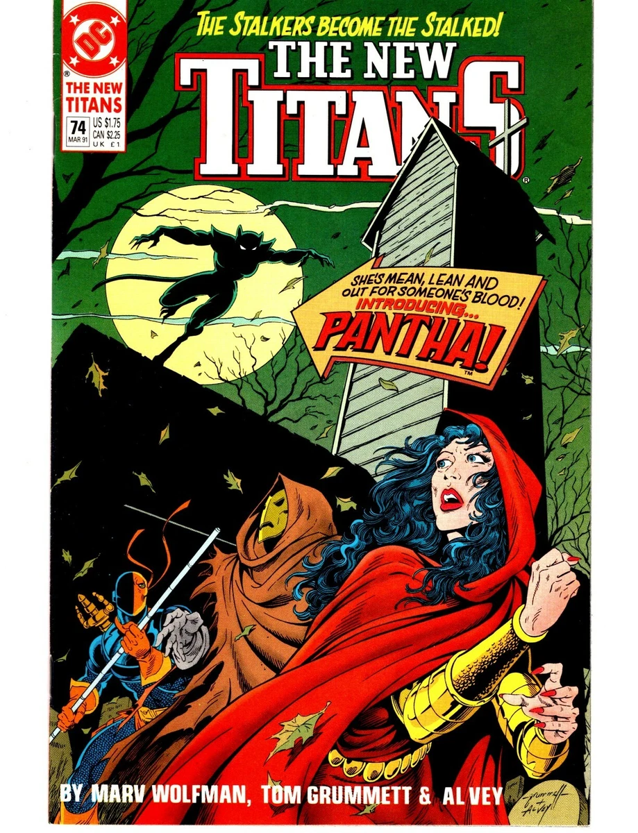 Pantha Teen Titans