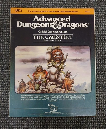 🔶️TSR 1984 ADVANCED DUNGEONS & DRAGONS THE GAUNTLET D&D RETRO VINTAGE ...