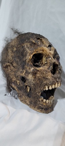 REALISTIC,HORROR,MUMMIFIED,HALLOWEEN HORROR PROP,SIDESHOW GAFF, ROT ...
