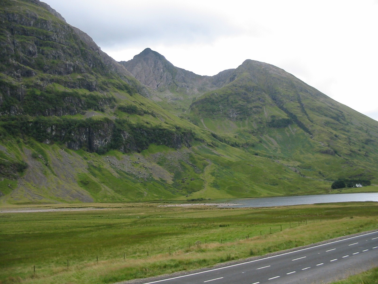 Gaugemaster GM59 Trix Style N Gauge Wheel Cleaner Brush + T48 Post | eBay