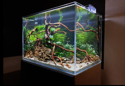Aquarium Professional Fish Tank - 90L (60x40x40cm) Clear Glass ...