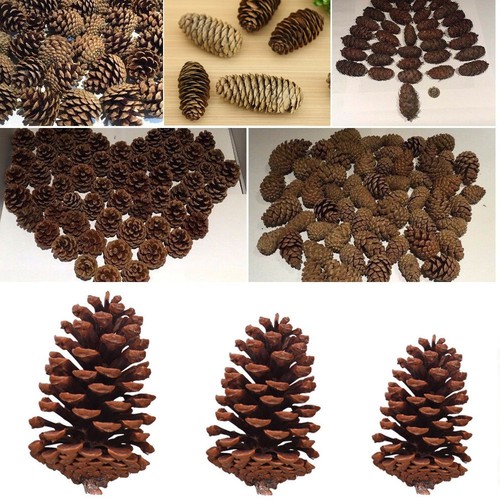 Decor Xmas Tree Decoration Natural Dried Flowers Hanging Ornaments Pine Cones | eBay Australia