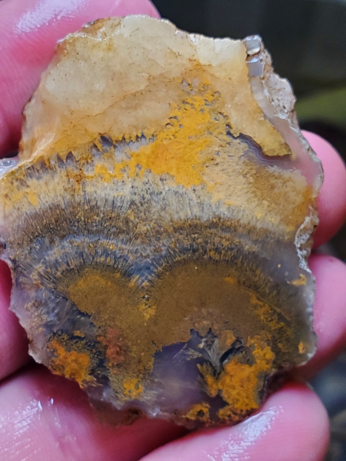 Bouquet Sagenite Plume Pom Agate Mexico San Carlos Canyon Ojo Laguna ...