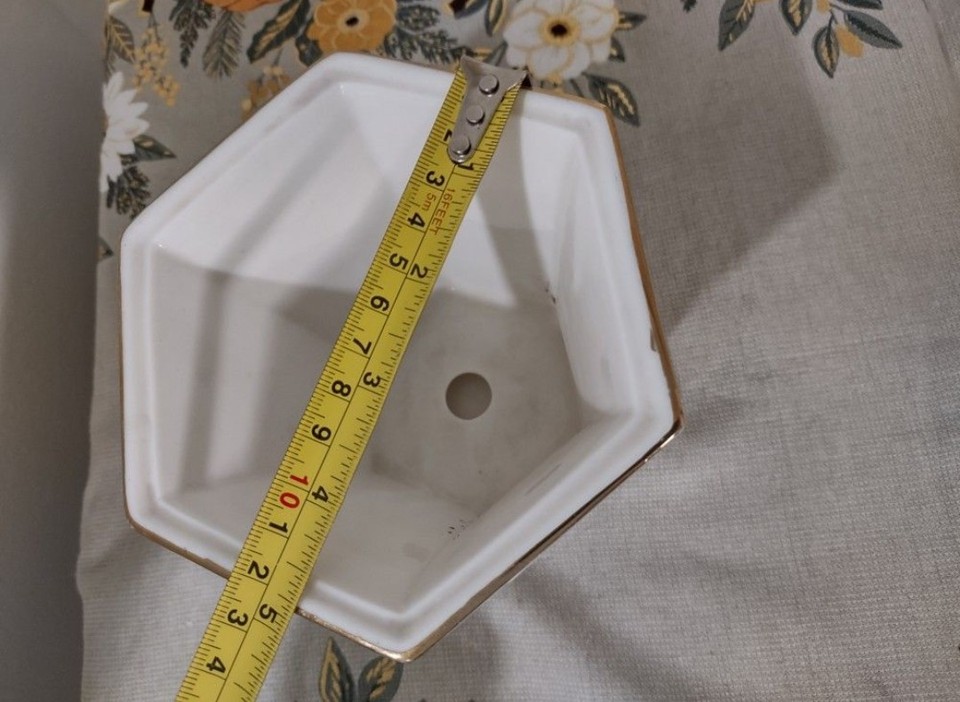 Elegant Hexagonal Iris Print Fine Japan Planter With Base Trimmed In ...