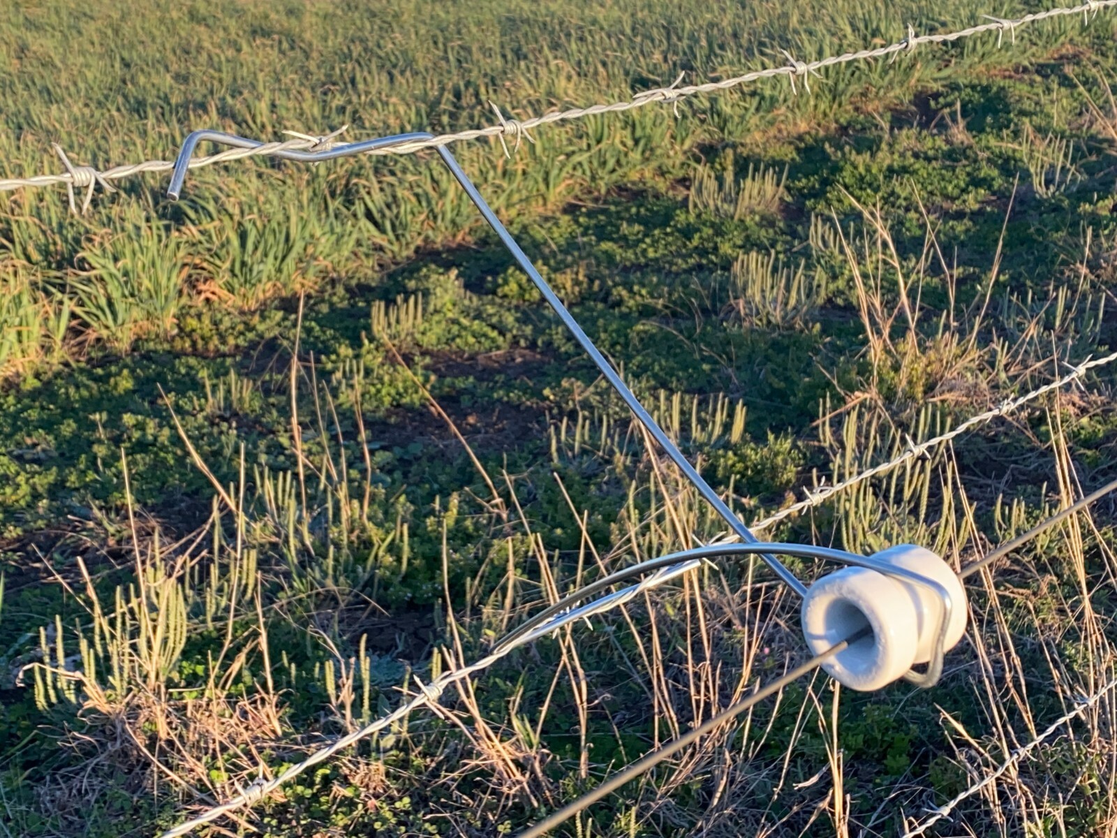 PORCELAIN OFFSET OUTRIGGER INSULATOR 50PK - USE WITH ELECTRIC FENCE ...