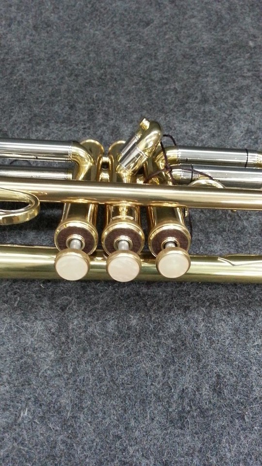 ANDREAS EASTMAN ETR420 Student Bb Trumpet Clear Lacquered | eBay