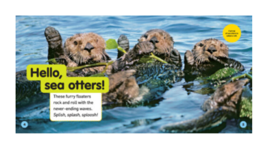 National Geographic Images Sea Otters