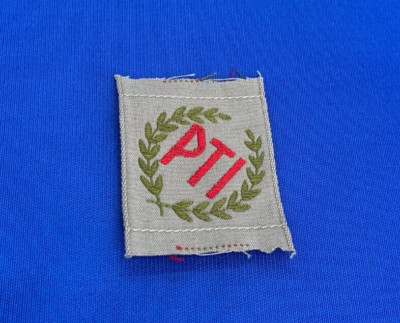 Australian Army Physical Training Instructor Qualification Cloth Patch ...