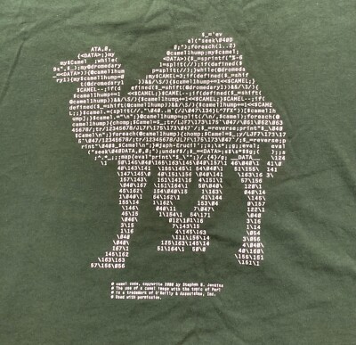 Vtg 90s Y2K Camel T Shirt Coding Computer Language Code Perl Tech Nerd ...