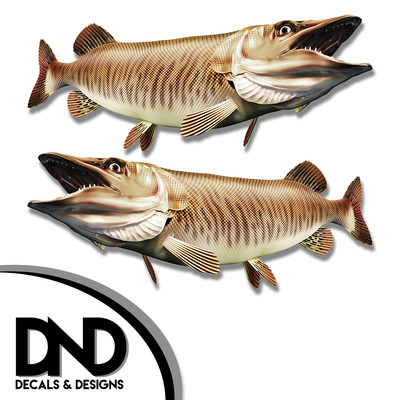 Tiger Musky - Fish Decal Fishing Tackle Box Bumper Sticker "5in SET" F ...