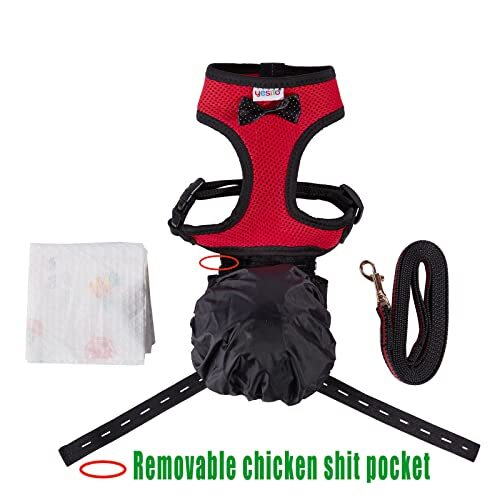 Pet Set for Poultry - Hen Size Chicken Harness Diaper & Matching 5ft ...