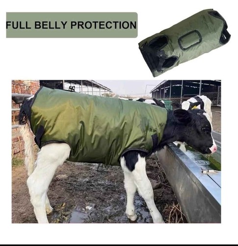 Calf Blanket Calf Saver Coat Windproof Winter Comfortable Vest Keeps ...