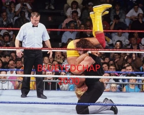 Hulk Hogan Vs Undertaker