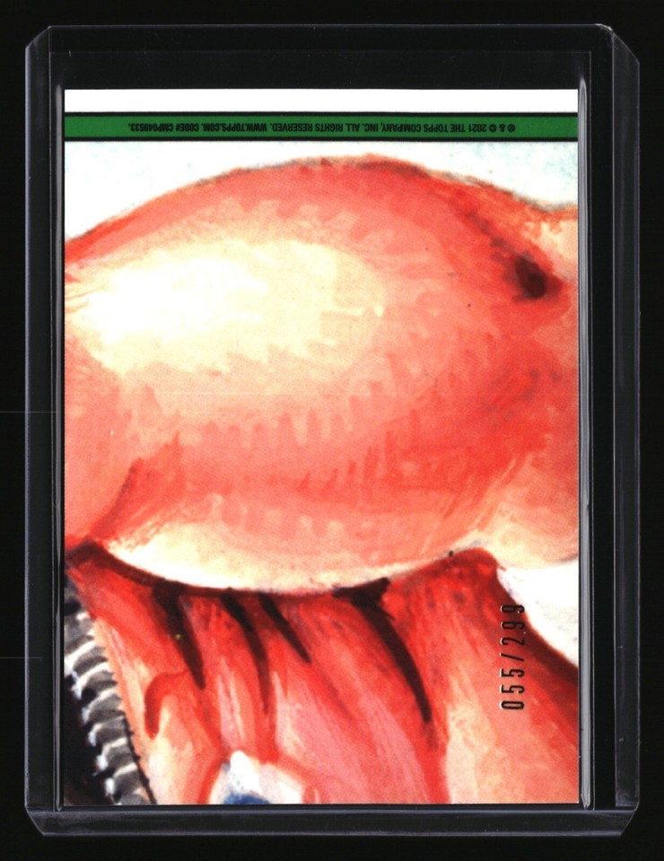 Garbage Pail Kids SHAGGY AGGIE 126b (GPK Chrome Series 4) Green ...