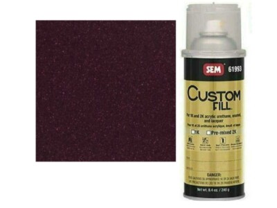 Touchup Paint For GM Code WA409B Edible Berries Poly 11oz. Aerosol ...
