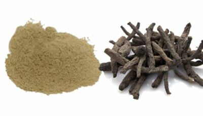 RSINC Kali Musli / Curcul/Nilapanai Kilangu (Curculigo Orchiodes ...