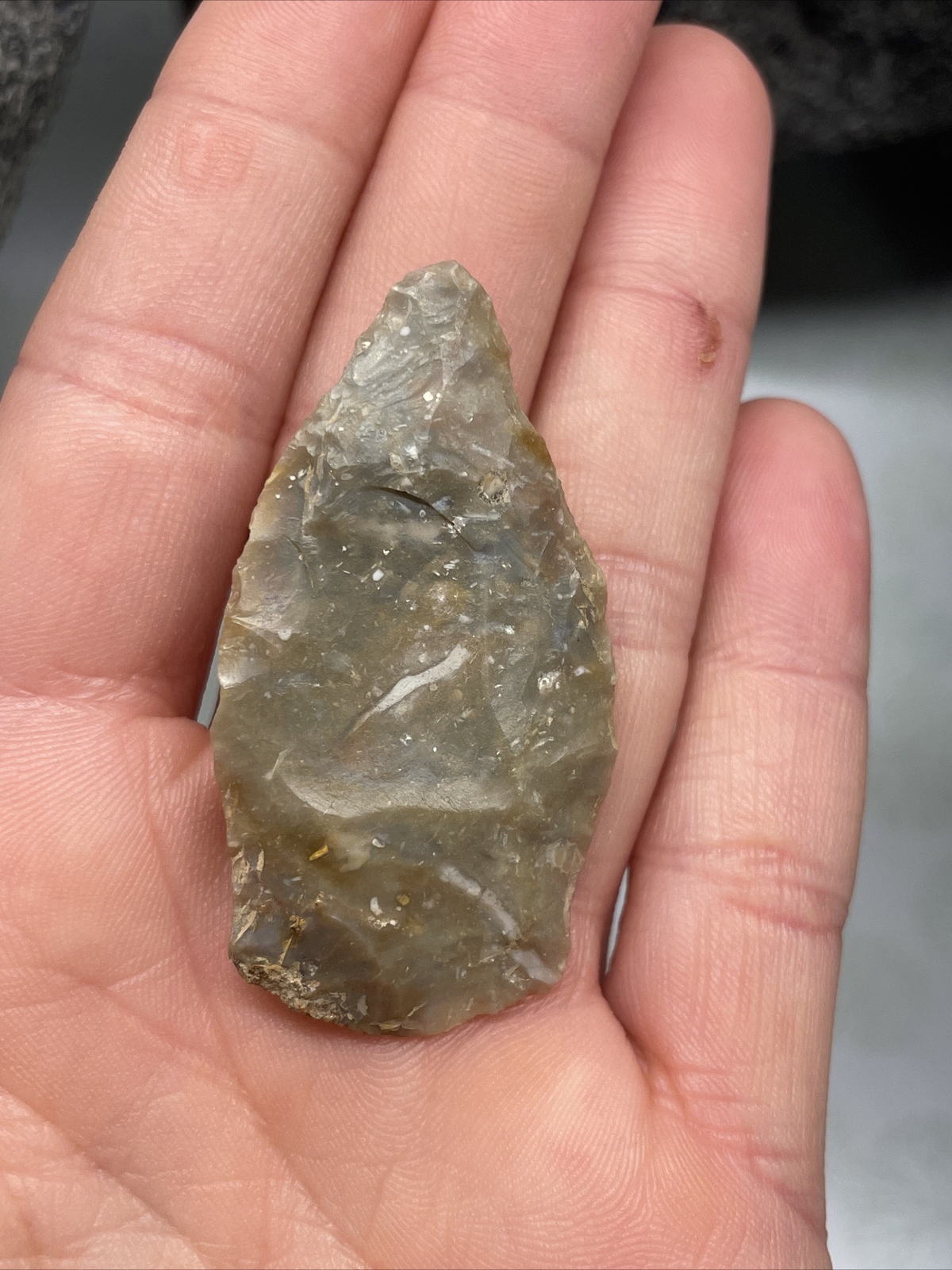 MLC s2233 Fluted Paleo Archaic Stemmed Lanceolate Arrowhead North ...