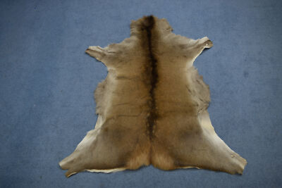 Red Deer Skin Large (684-L-G24) 10UF | eBay