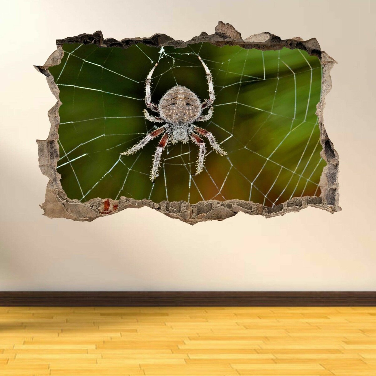 Spider Web Wall Decal High Resolution Pictures Spider Web Wall Decal
