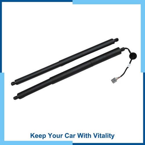Pack (2) Rear Lift Gate Struts With Power Liftgate for Ford Explorer ...