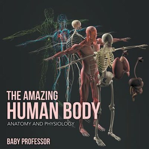 Anatomy And Physiology For Dummies Anatomy And Physiology For Nurses