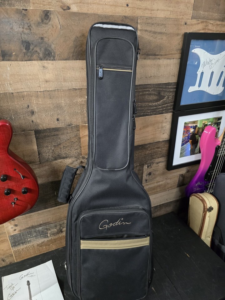 Godin XTSA Leaftop Dark Trans Red Electric Guitar with Gig Bag | eBay