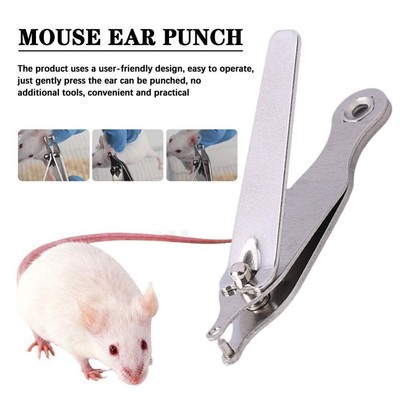 Silver Mouse Ear Punch Stainless steel Ear Hole Punch High Quality Ear ...