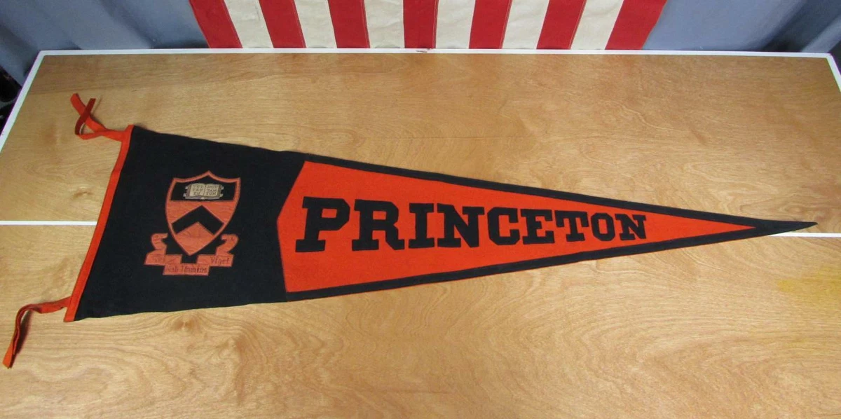 Princeton University Motto