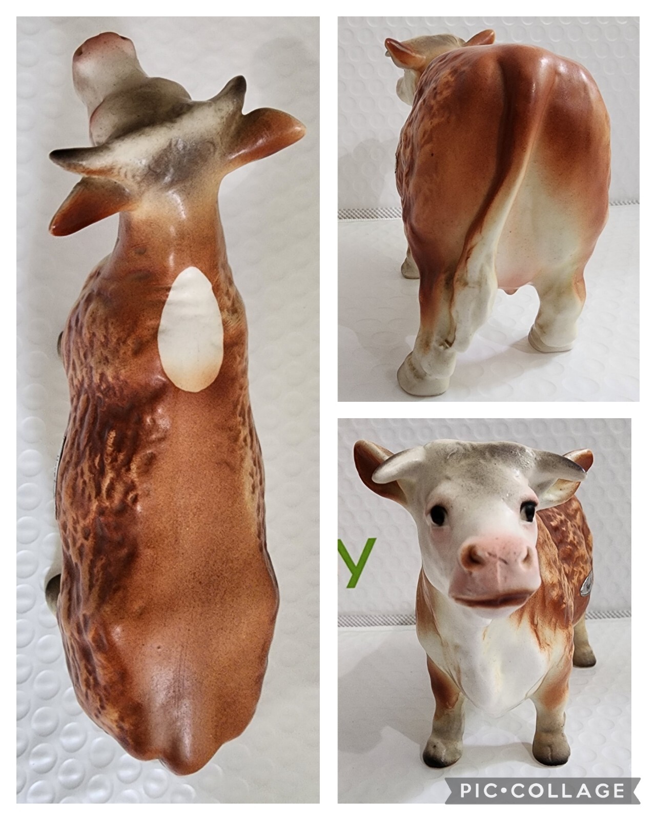 7 Lefton cattle cows - Angus Bull, Ayrshire, Jersey, Brahman, Hereford ...