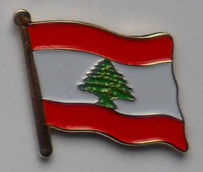Lebanon Lebanese Country Flag Enamel Pin Badge | eBay UK