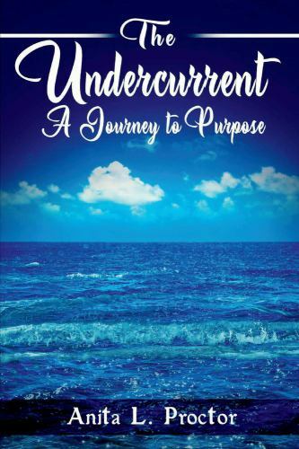 The Undercurrent: A Journey to Purpose 9781098357443| eBay