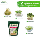 Organic Sprout Mix Seeds - Salad Growing Kit - Non-GMO Microgreens ...