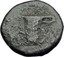 KYME in AEOLIS - Genuine 350BC Authentic Ancient Greek Coin HORSE ...