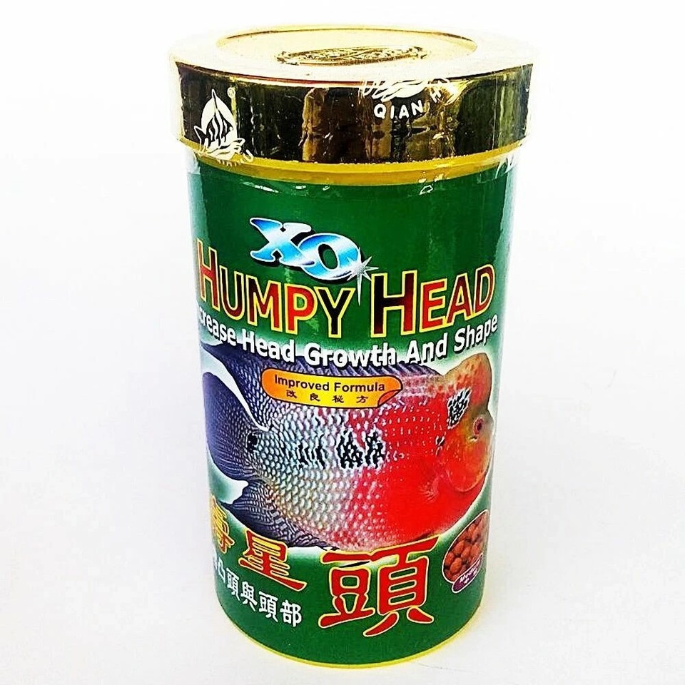 Xo Ocean Free Flowerhorn Cichlid Fish Food Humpy Head Ever Red Redsyn ...