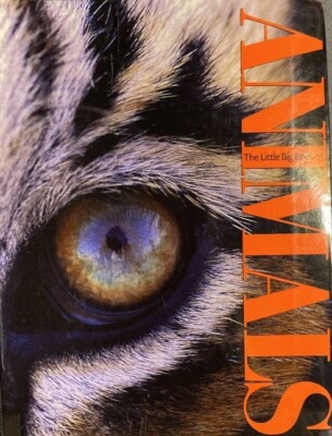 The Little Big Book of Animals (Book, Illustrated, "RARE", 2006) | eBay