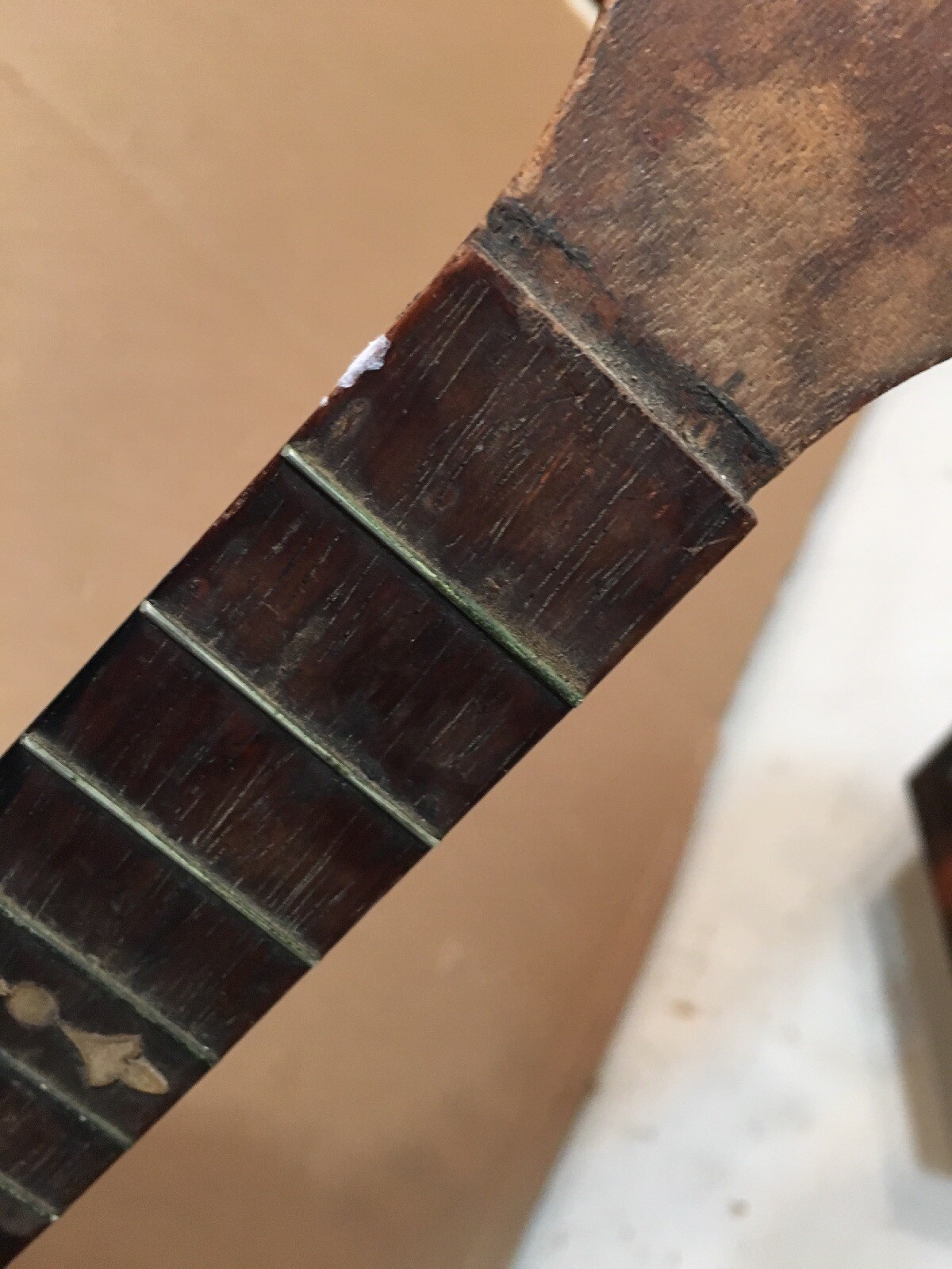 Rare Thompson & Odell Artist Banjo 8 String Banjolin Mandolin Parts ...