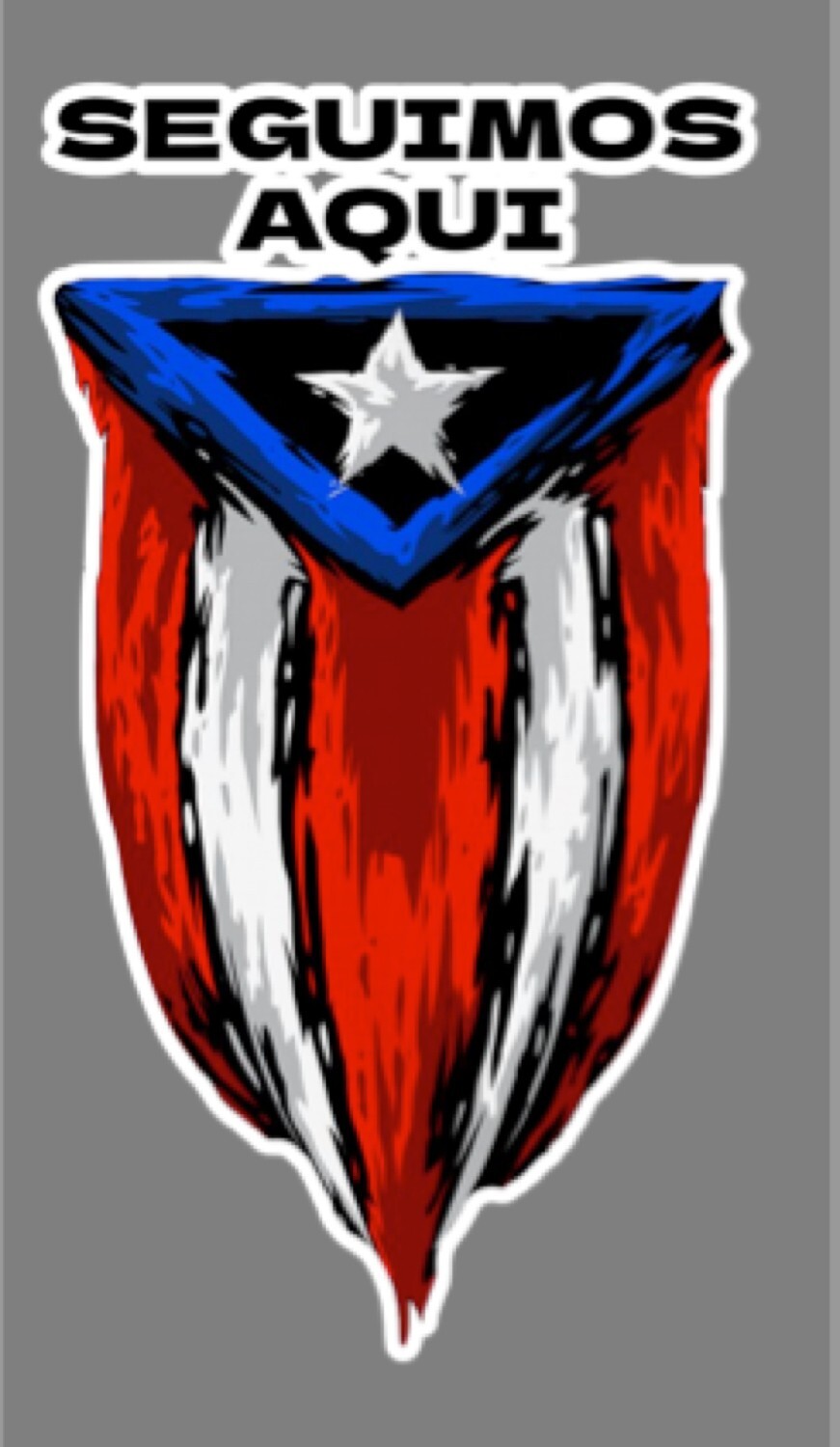 PUERTO RICO FLAG STICKER-DECAL- SEGUIMOS AQUI | eBay