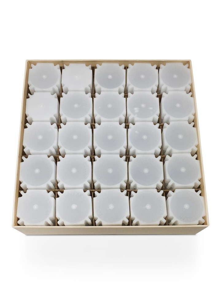 Square Large Dollar Coin Safe Tubes w Storage Box Long Term Morgan ...