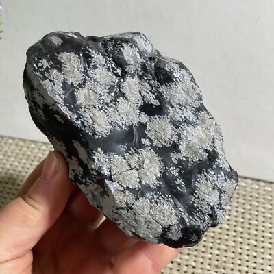 496g Snowflake Obsidian Rough Natural Stones Bulk lots Natural Obsidian ...