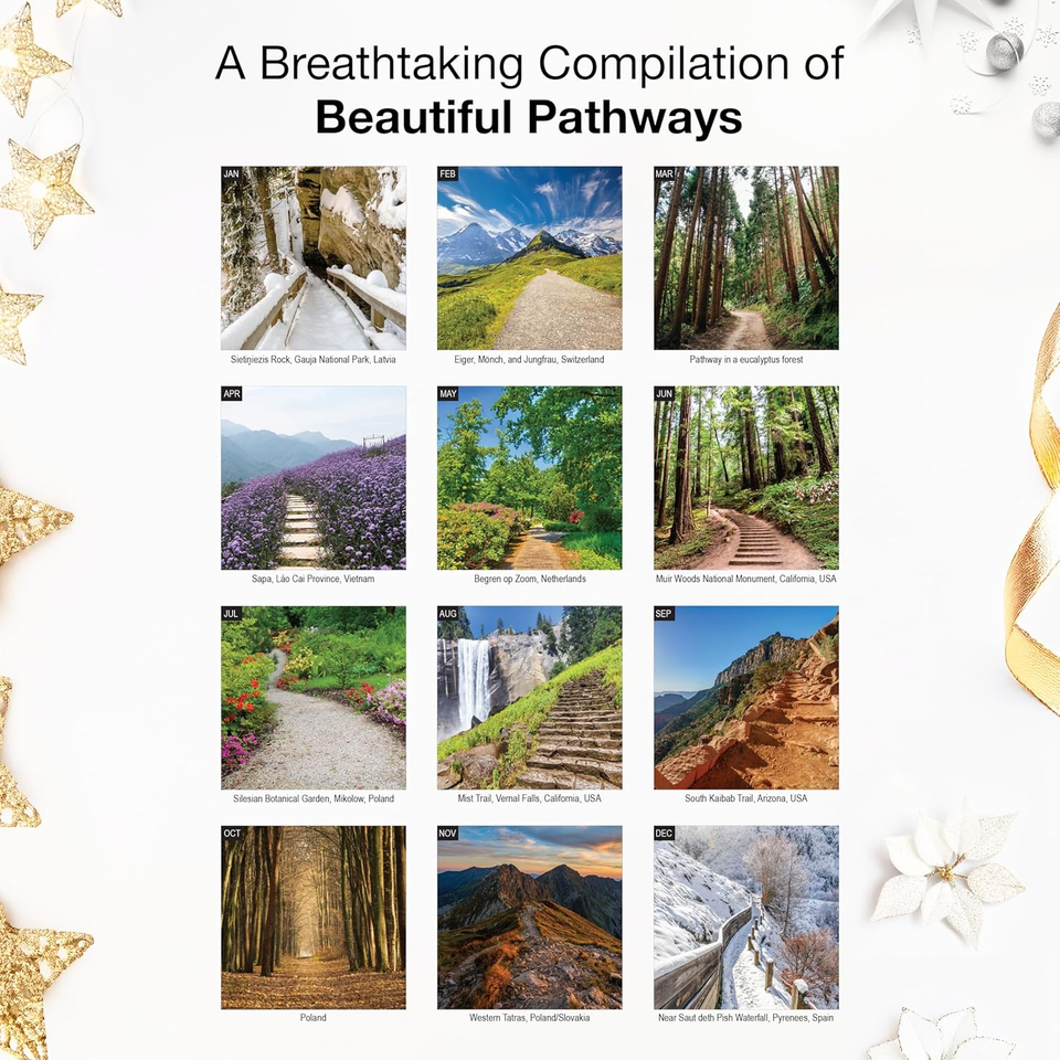 Signature - Pathways 2026 Wall Calendar 12 Month | 12" x 24" Open ...