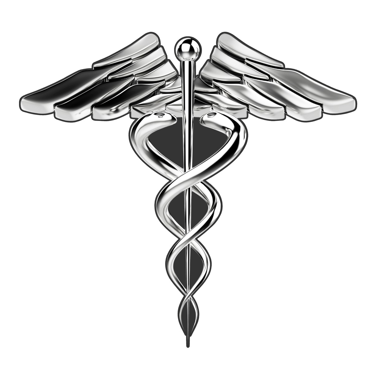Rn Nurse Logo RN Nurse Name And Position Name Tag | Zazzle
