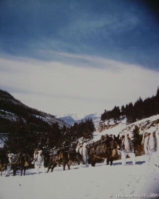 6x4 Gloss Photo ww51AB WW2 World War II WW2 Winter Scenes w26 | eBay UK