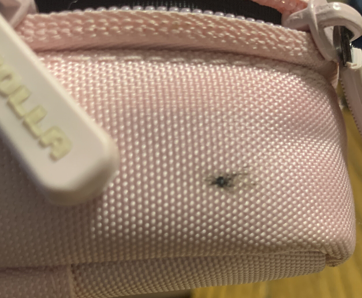 Golla Mobile Lifestyle Sunny Laptop Case G835 Pink Floral 15x10 1/2 | eBay