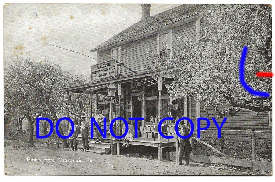 RARE Scene at G. H. Bush’s Grocery Store in Canadensis, PA | eBay