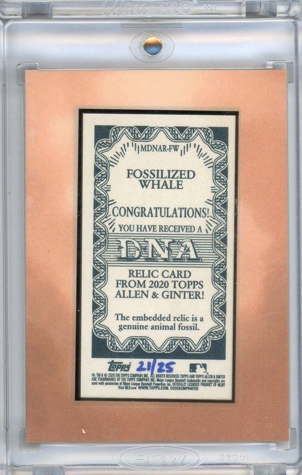 FOSSILIZED WHALE 2020 Topps Allen & Ginter DNA Fossil Relic MDNAR-FW ...
