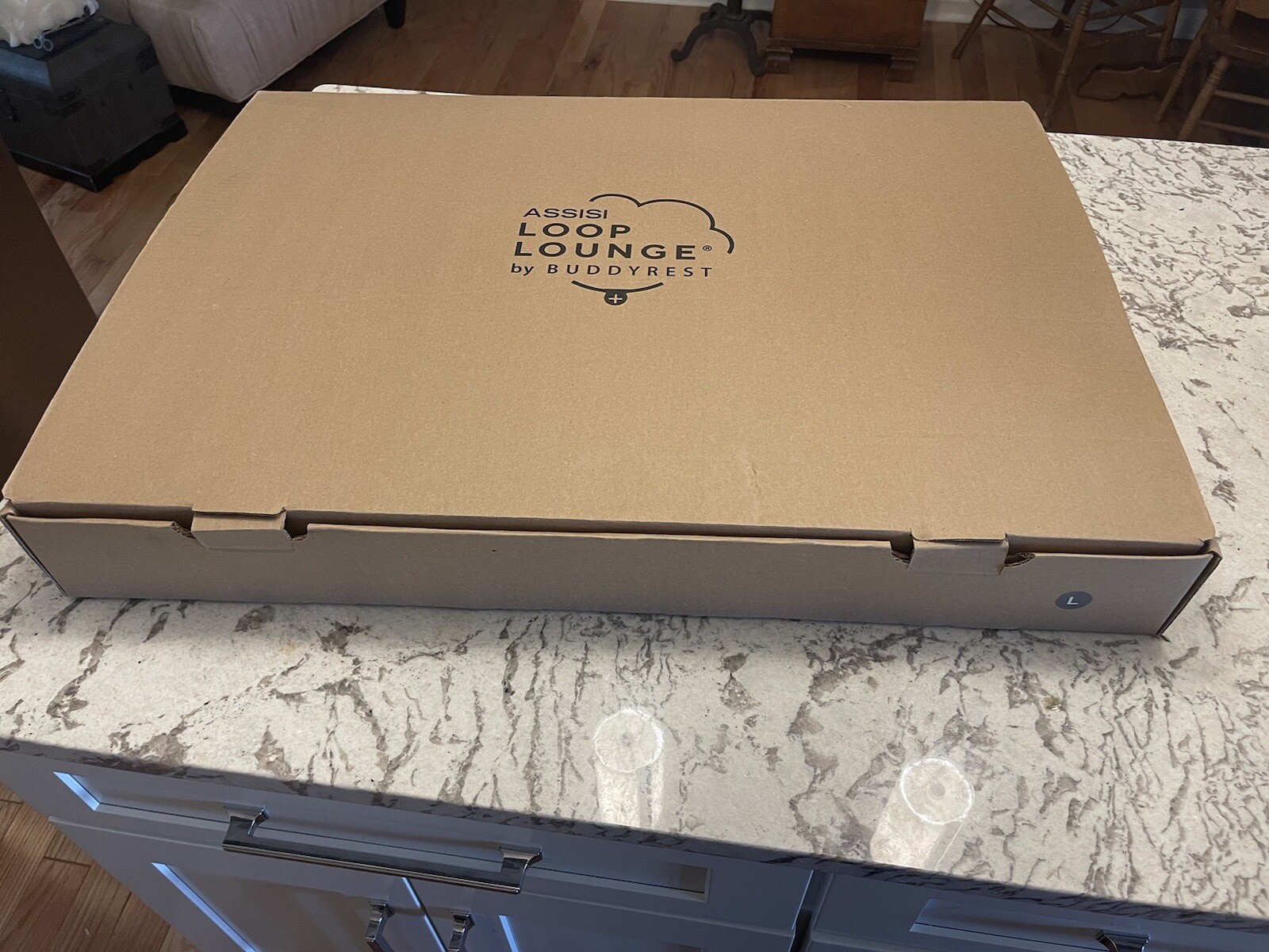 New Assisi Loop Lounge System L Mat Bed Pet Healing Pad Cover Therapy Therapudic | eBay