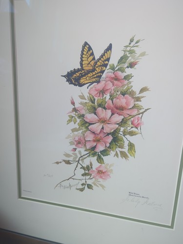 Wild Roses (Rosa Humilis Marsh) #303/393 Litho Art By Gladys Galloway ...
