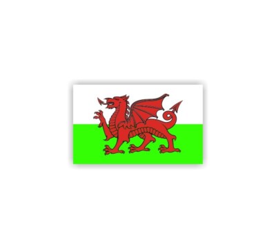 Mini Welsh Flag Sticker Decal 65mm x 40mm Stickers Car Van Campervan ...
