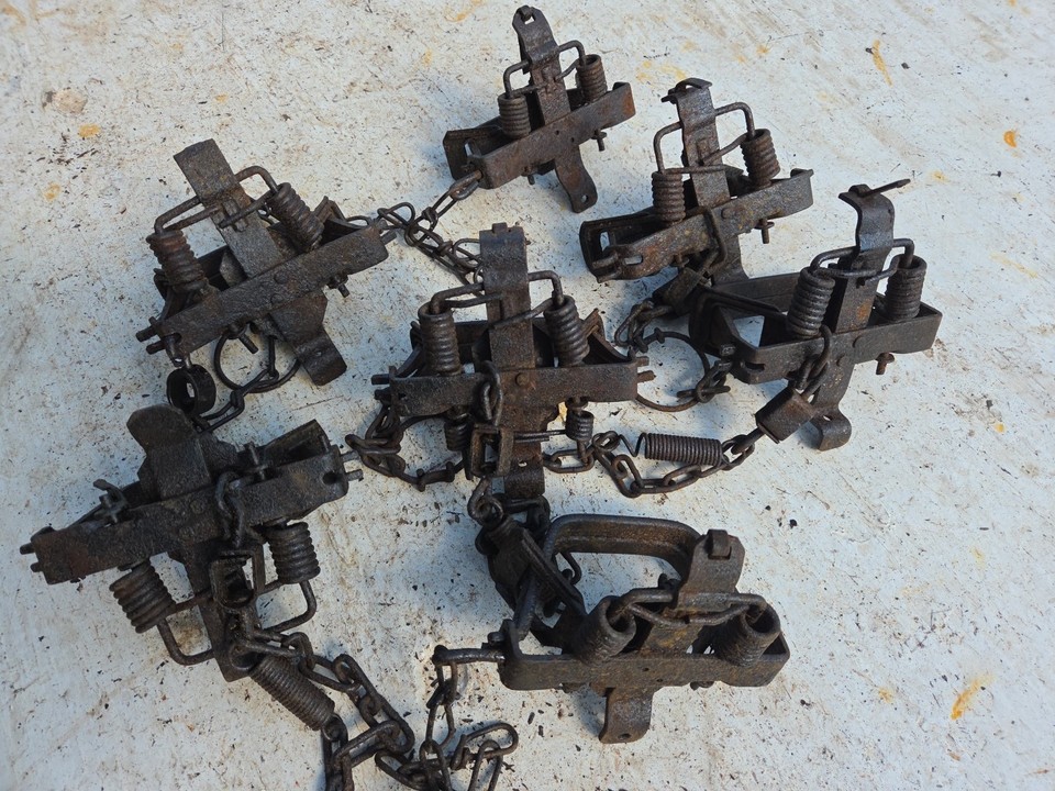 Lot 7 Montgomery Northwoods Number 1 1/2 Coil Spring Square Jaws Traps ...