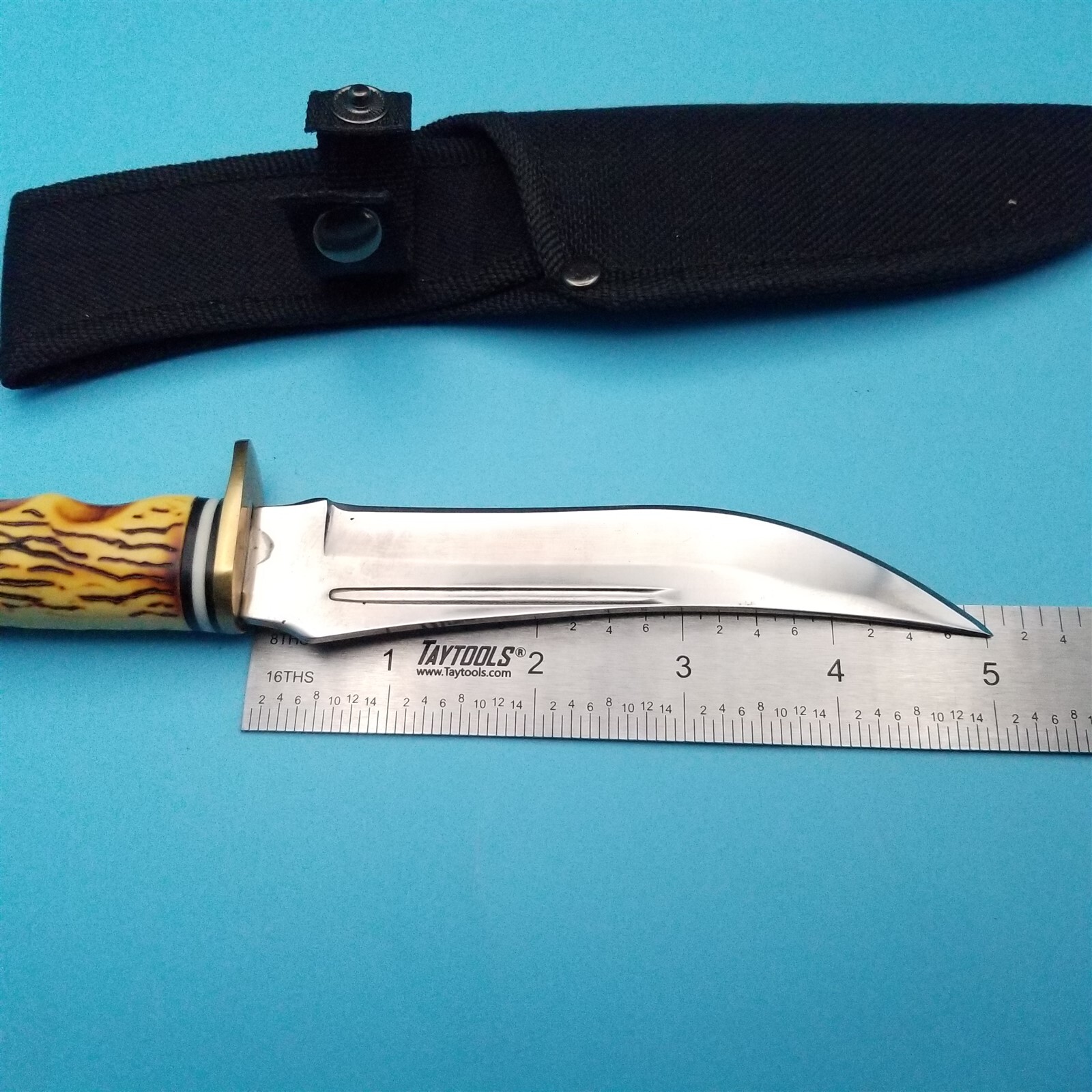Fixed Blade Knife Finger Groove Hunter Handle Nylon Sheath 9.5" x 5 ...